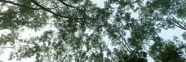 Making Gender-Responsive Budgeting More Effective